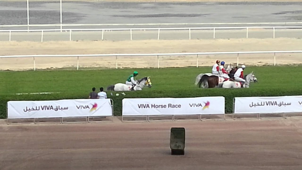BAhrain horse ride - YouTube