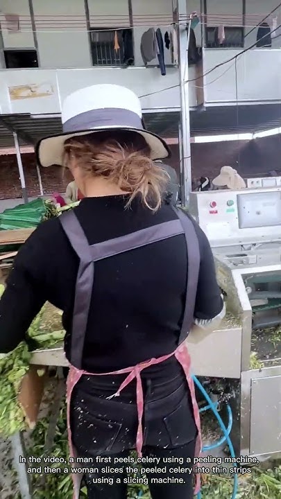 Vegetable Processing: Slicing Celery - YouTube
