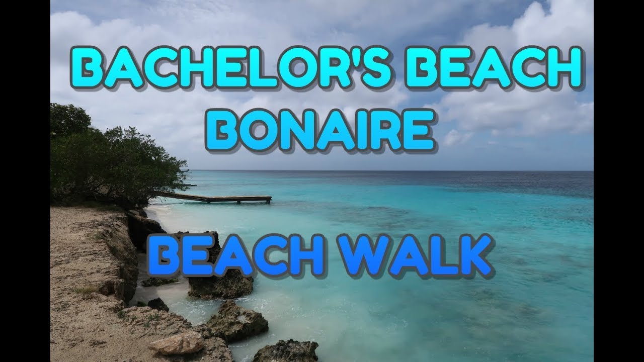 Bachelor's Beach Bonaire BEACH TOUR - YouTube