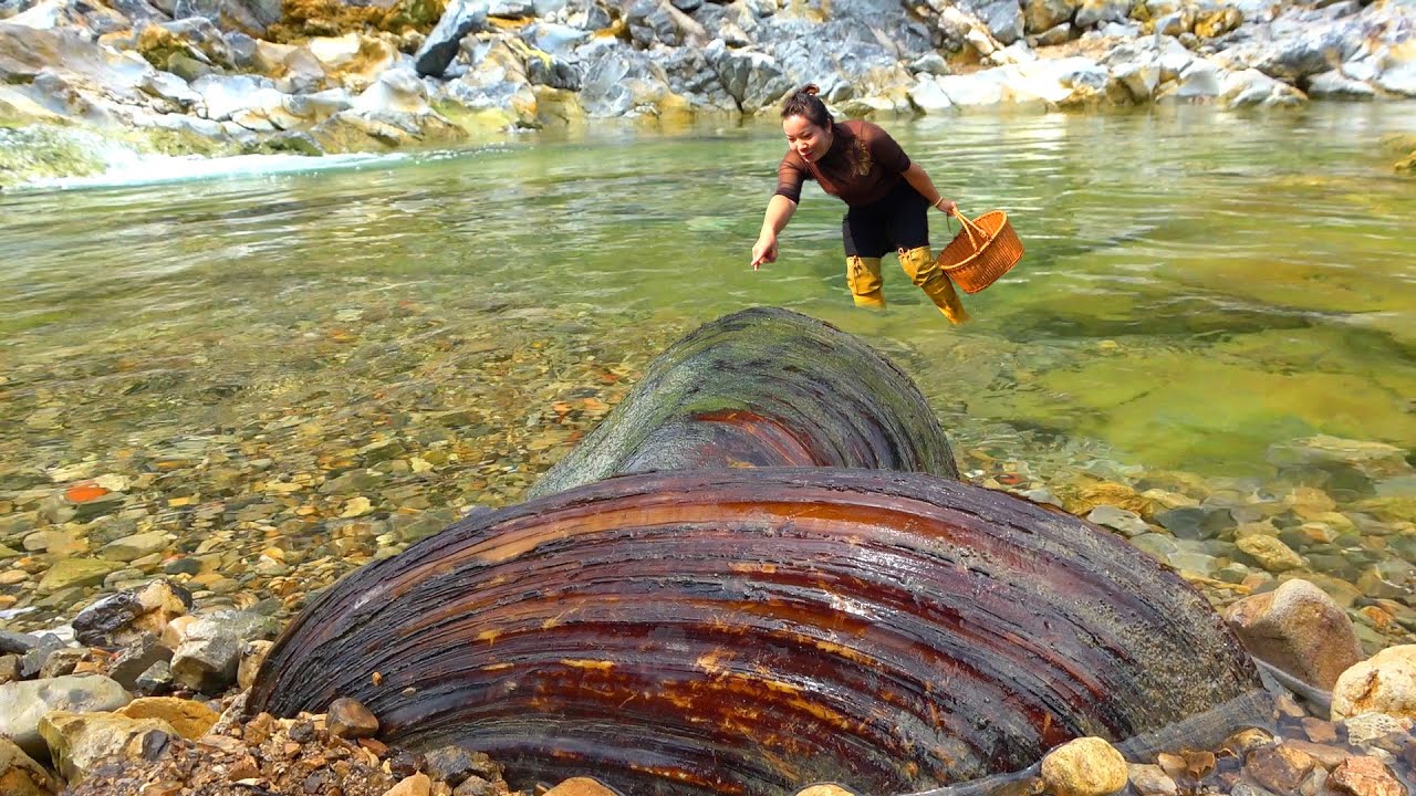 💜The girl picked up a few huge mutated clams and pried open countless ...