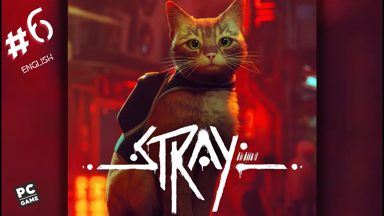 😺 STRAY | #6 English - YouTube