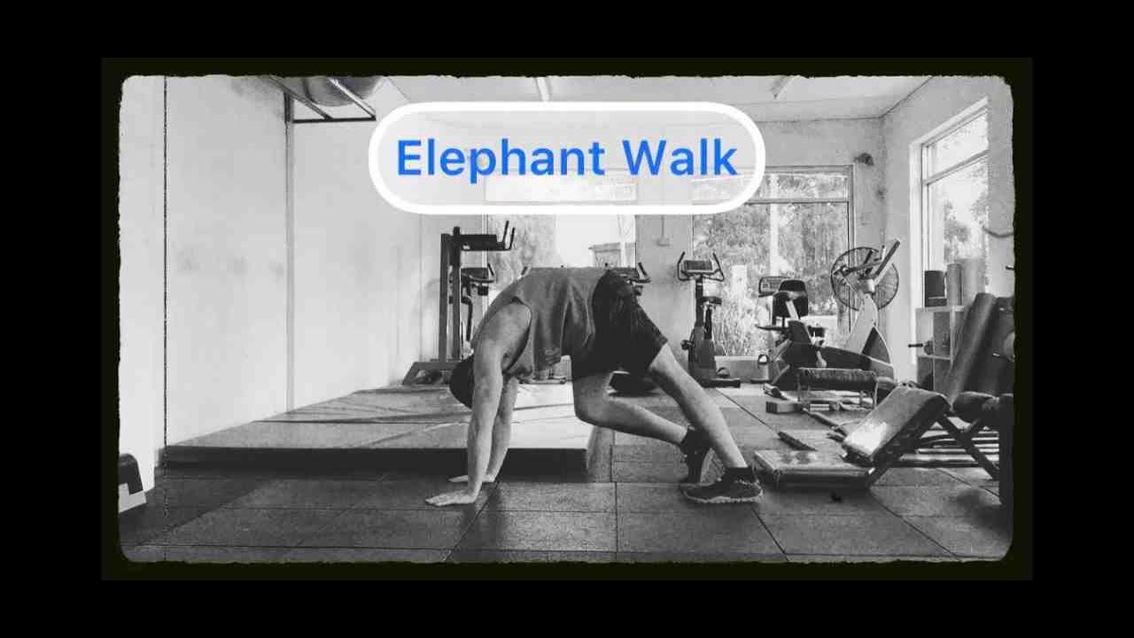 BASICS: Elephant Walk - YouTube