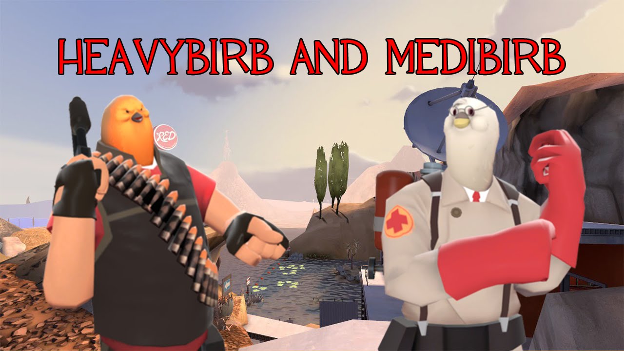 A TF2 Heavy and Medic Bird Documentary - YouTube