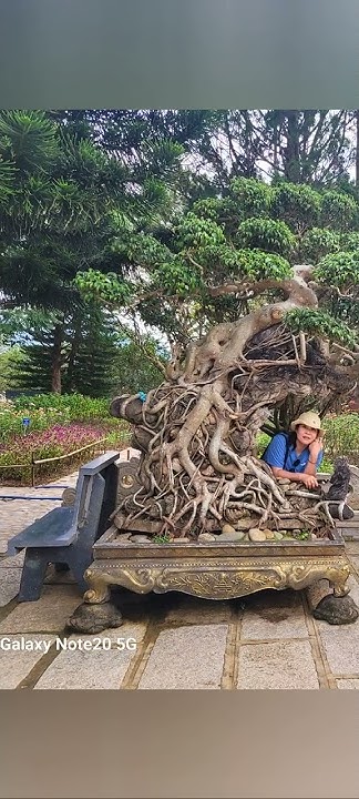 60대브이로그 추억https://www.youtube.com/@%EC%95%84%EB%A6%84%EB%8B%A4%EC%9A%B4 ...