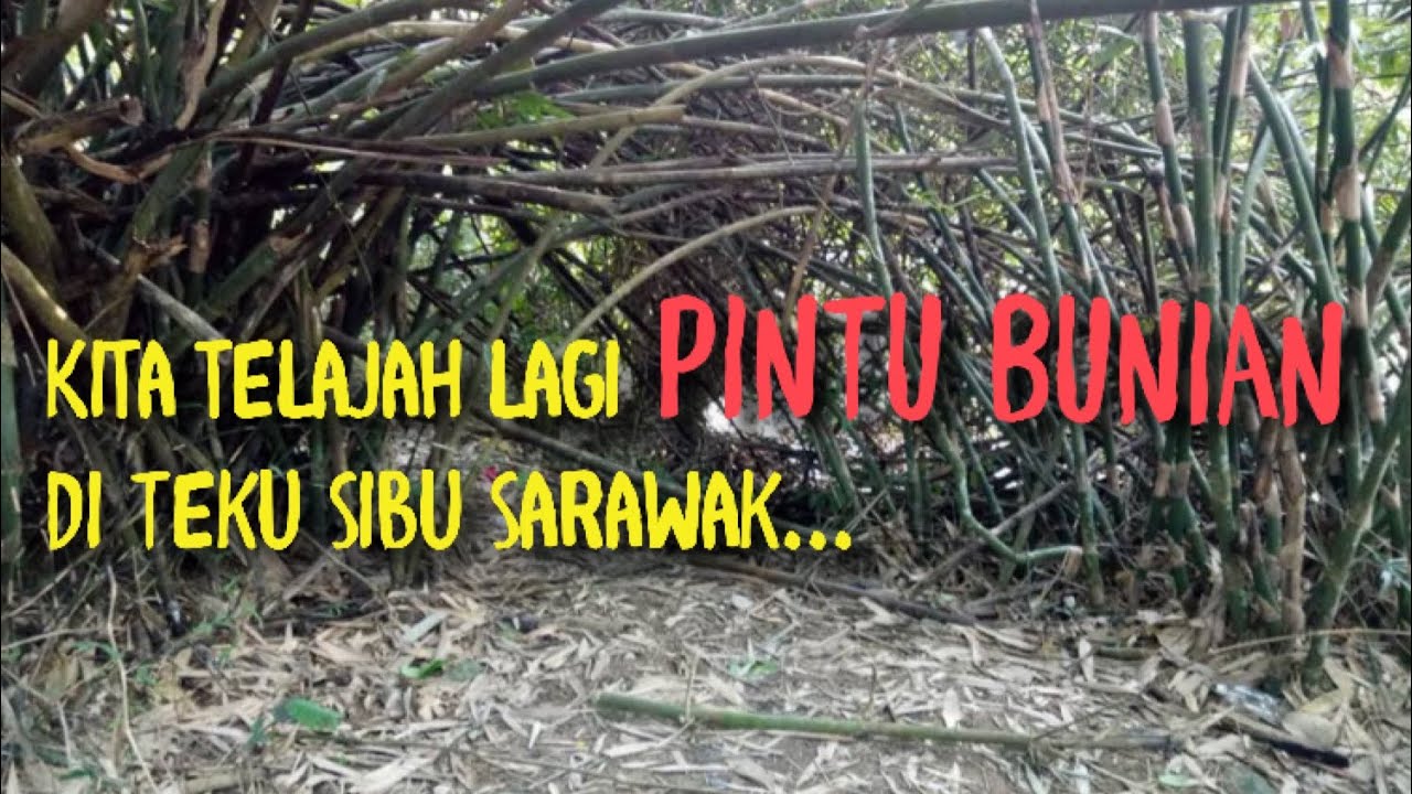 Kita Telajah Lagi Pintu Bunian Disibu Sarawak | Alam Bunian | Terjumpa ...