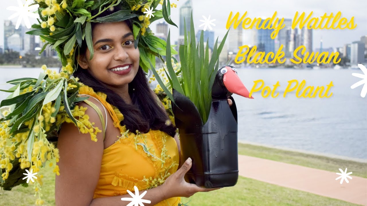 WA Day in the City of Perth - Wendy Wattle makes a DIY Black Swan Pot ...
