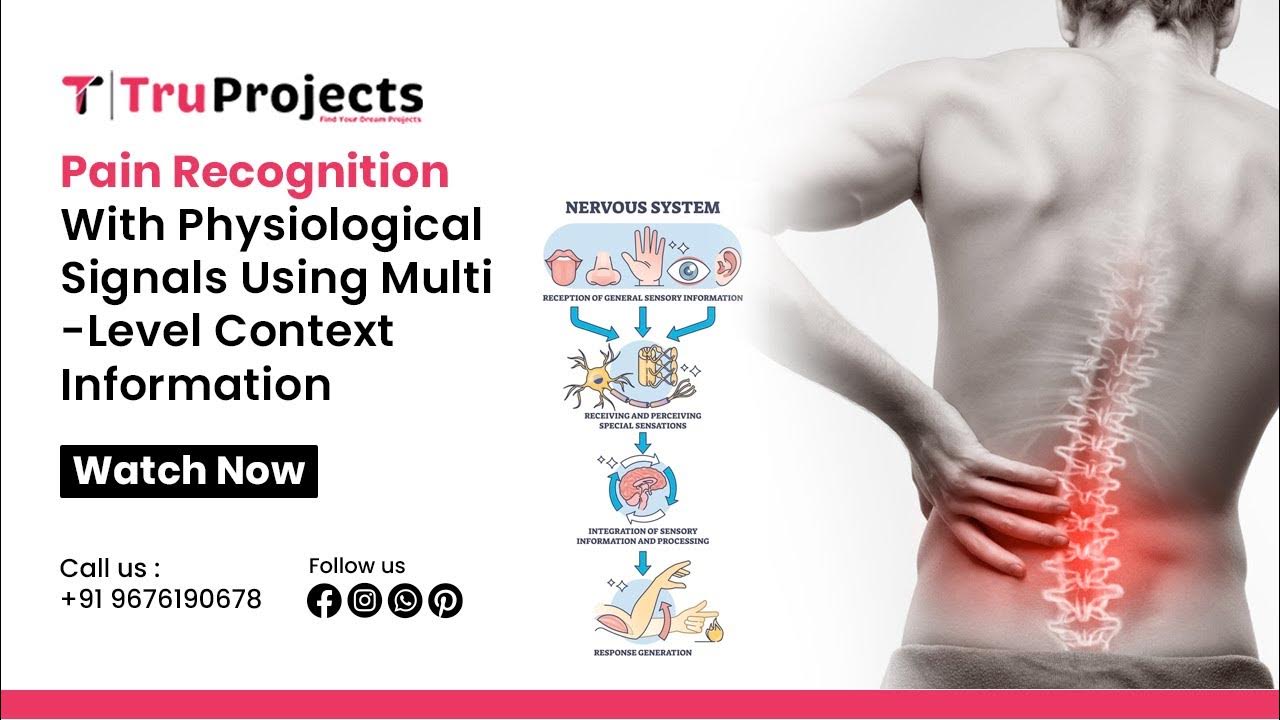 Pain Recognition With Physiological Signals Using Multi Level Context ...