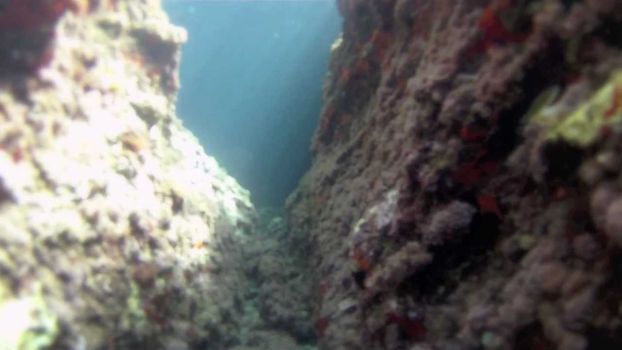 In a Single Day with Achilleon Diving Center - YouTube