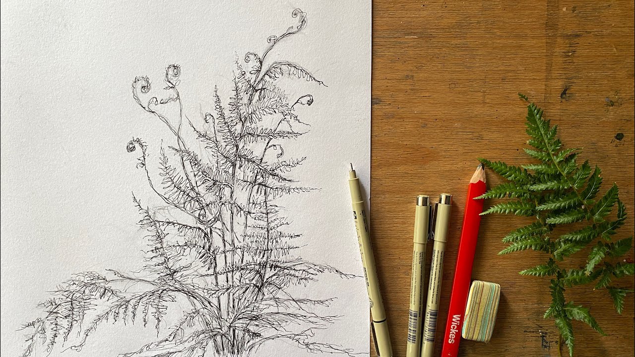 BEGINNERS LOOSE INK SKETCHING for Watercolor, Simple LOOSE Watercolour ...