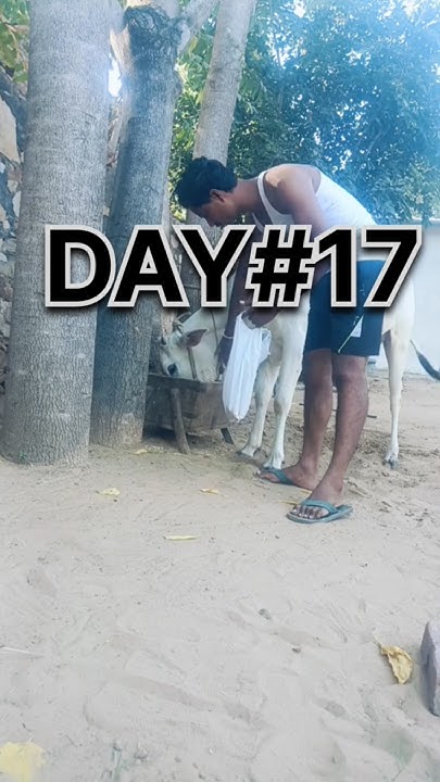 Computer ke input device - YouTube