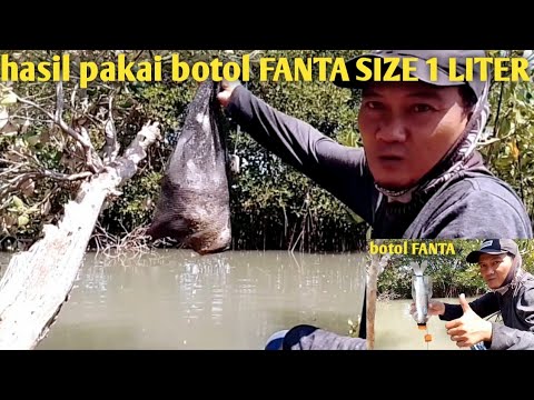 panen streik.,...mancing ikan belanak pakai botol bekas (fanta size 1 liter) - YouTube