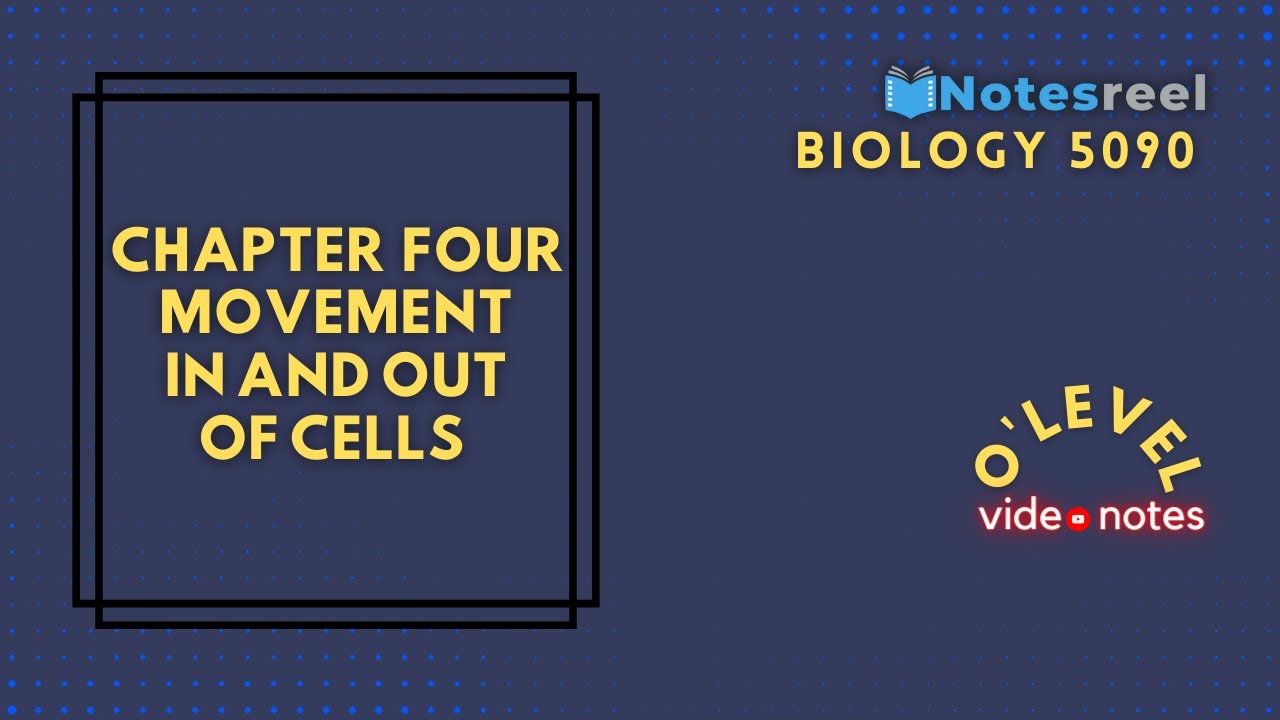 Chapter 4 Movement In And Out Of Cells O Level Notes Biology 5090 chapter-4-movement-in-and-out-of-cells-o-level-notes-biology-5090