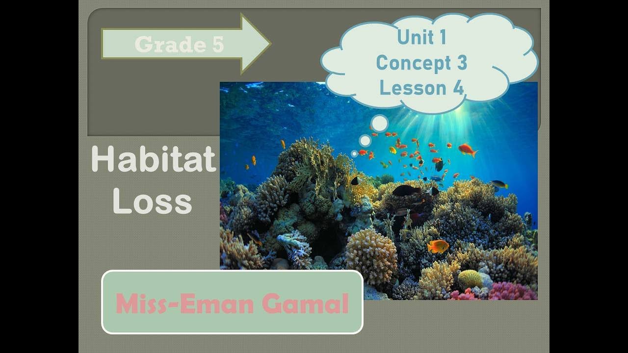 Science Grade 5 | Unit 1 - Lesson 4 - Concept 3 | Habitat Loss - YouTube