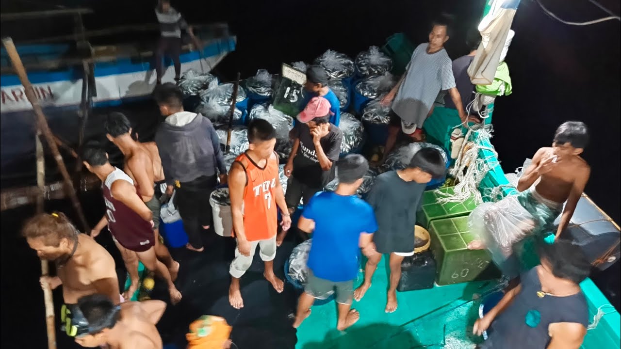 Ang Dami Na Namang Huli Ka Fishy Tamudyos is Here(Galunggong or white ...