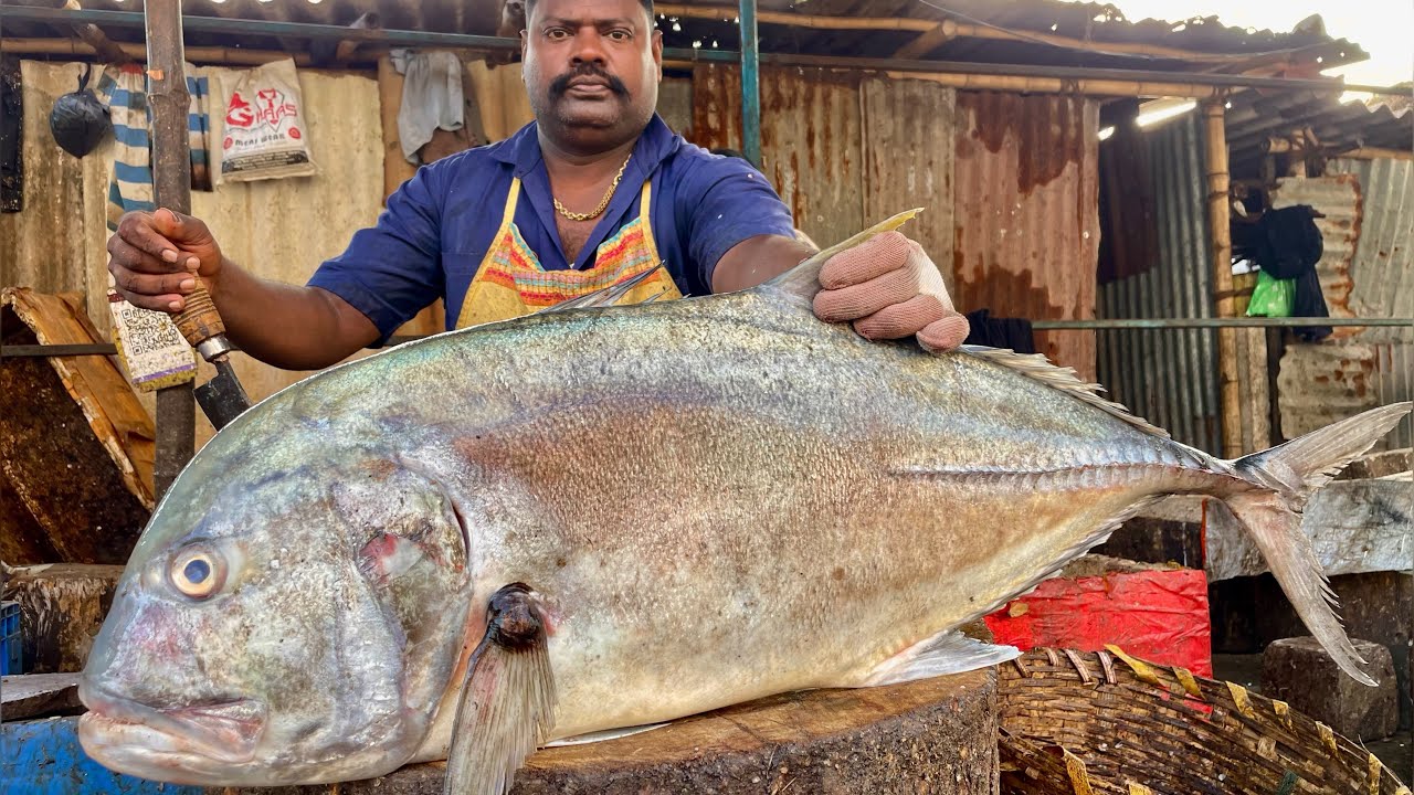 KASIMEDU SPEED SELVAM TREVALLY FISH CUTTING 🔥 IN KASIMEDU FISH CUTTING ...