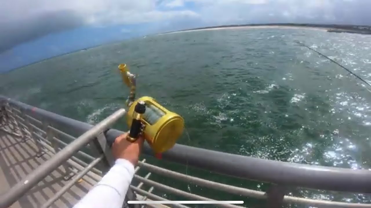 GIANT FISH SNAPS SHARK ROD**CATCHING RIVER BULL SHARKS~12 FT HAMMER ...