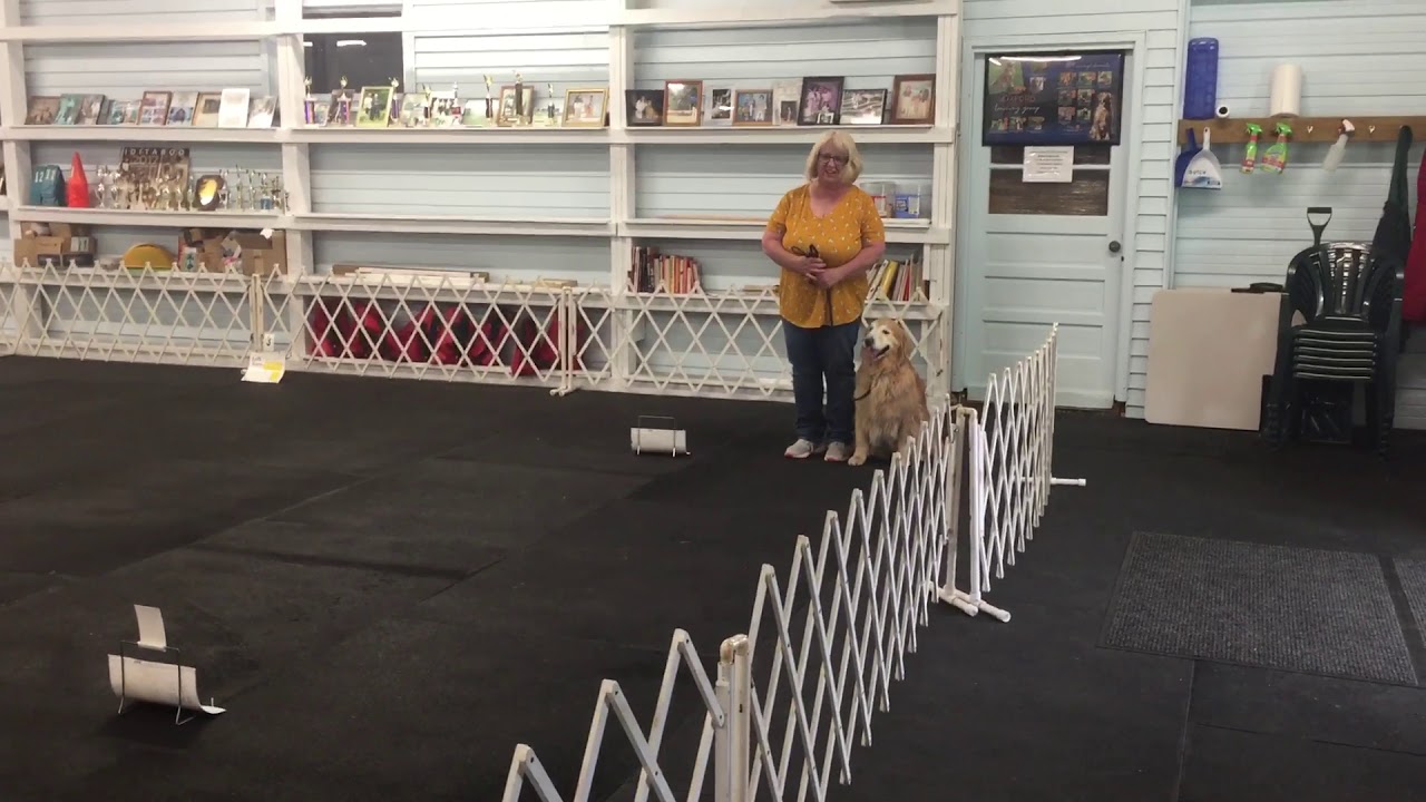 Broadway’s the Show Must Go On - YouTube