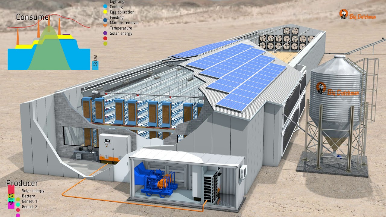 Big Dutchman - YouTube