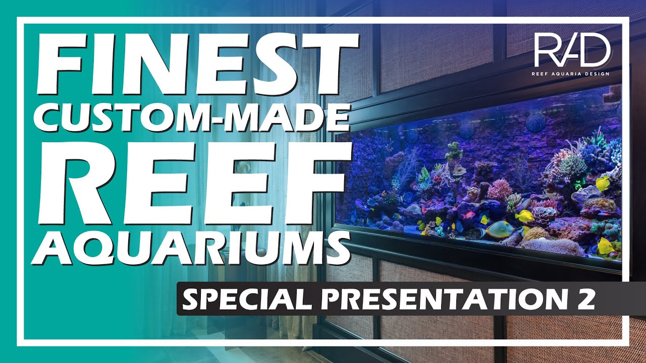SNEAK PEEK AT THE LUXURIOUS CUSTOM AQUARIUM DESIGNS BY REEF AQUARIA ...