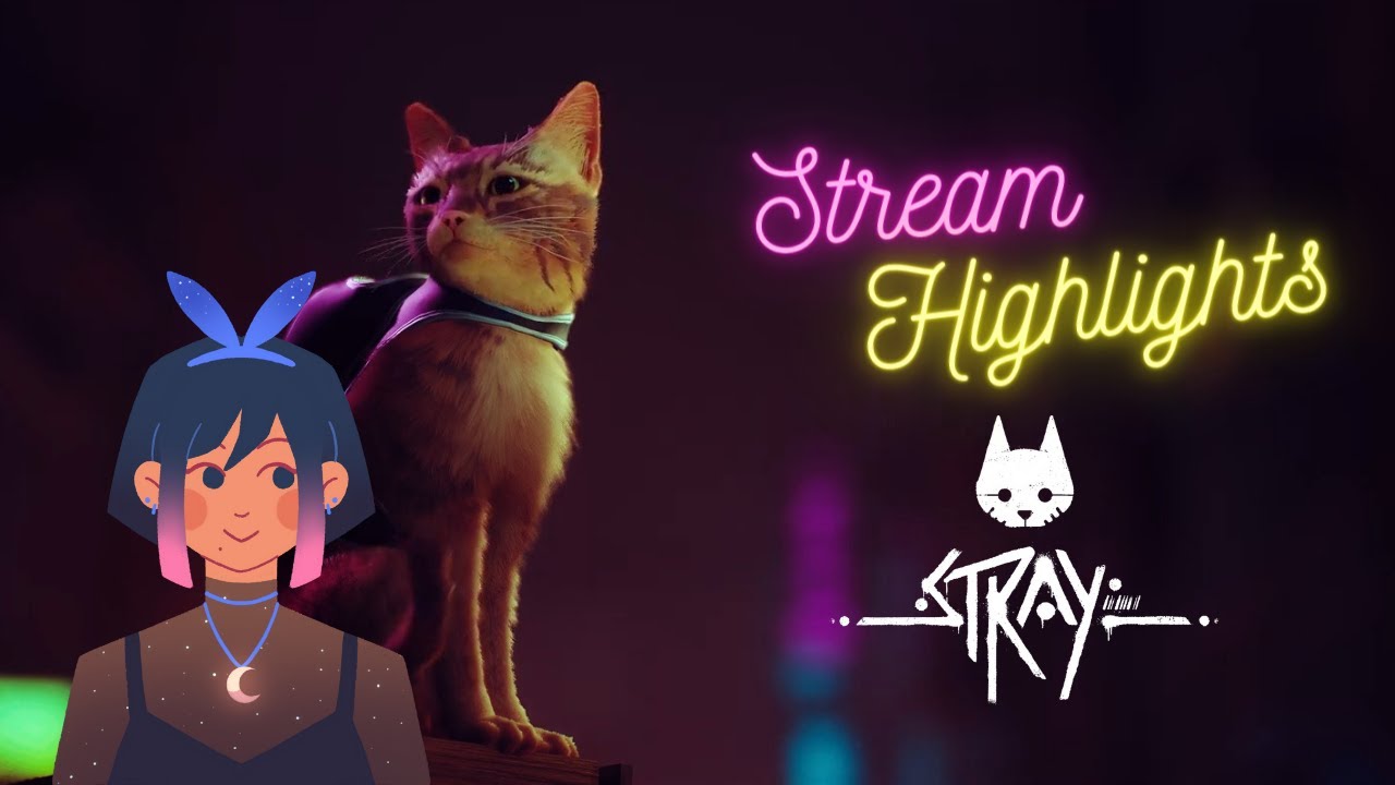 The real reason why I bought Stray | Stream Highlights - YouTube