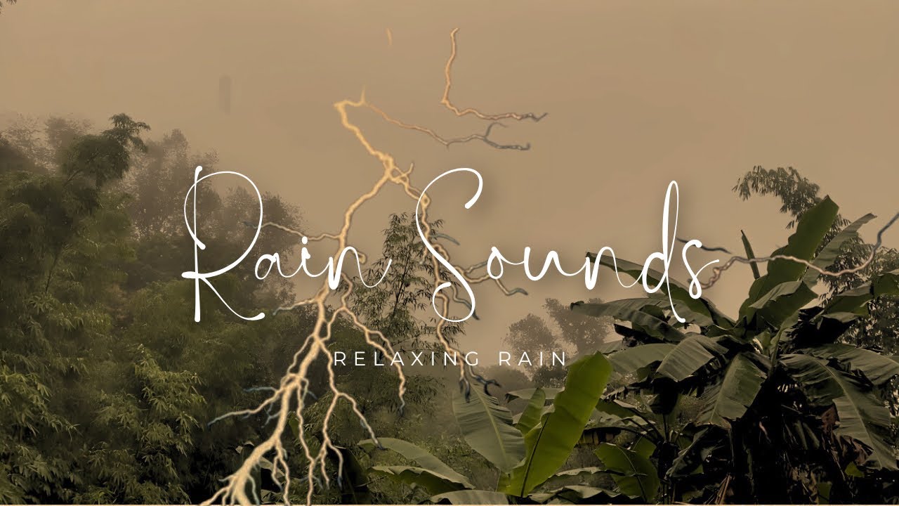 Dribbling Rain Sound - Relax Your Mind and Relieve Stress - YouTube