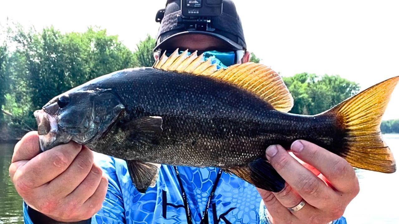 Mississippi River Wing Dam Topwater Fishing - YouTube