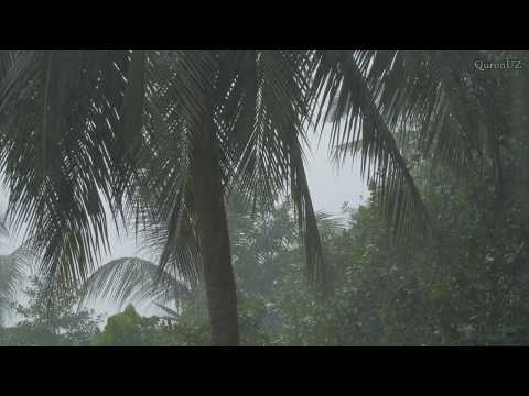 Фазлиддин Қори - Мулк сураси