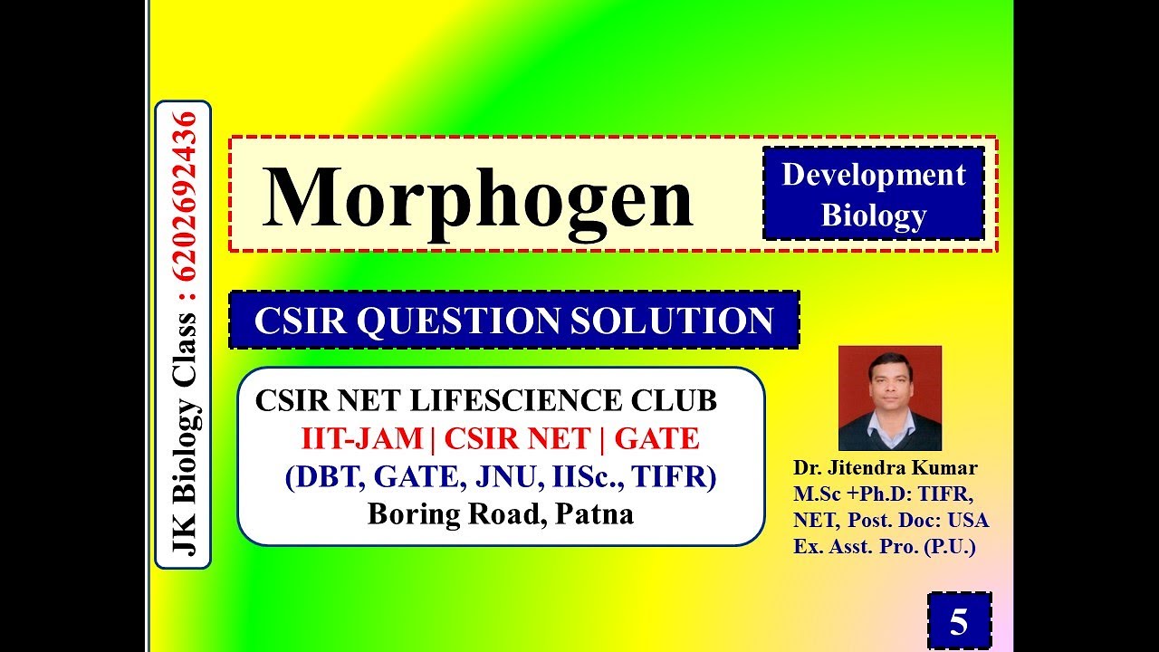 Morphogen | Morphogenic Gradient | CSIR NET LIFE SCIENCE ...
