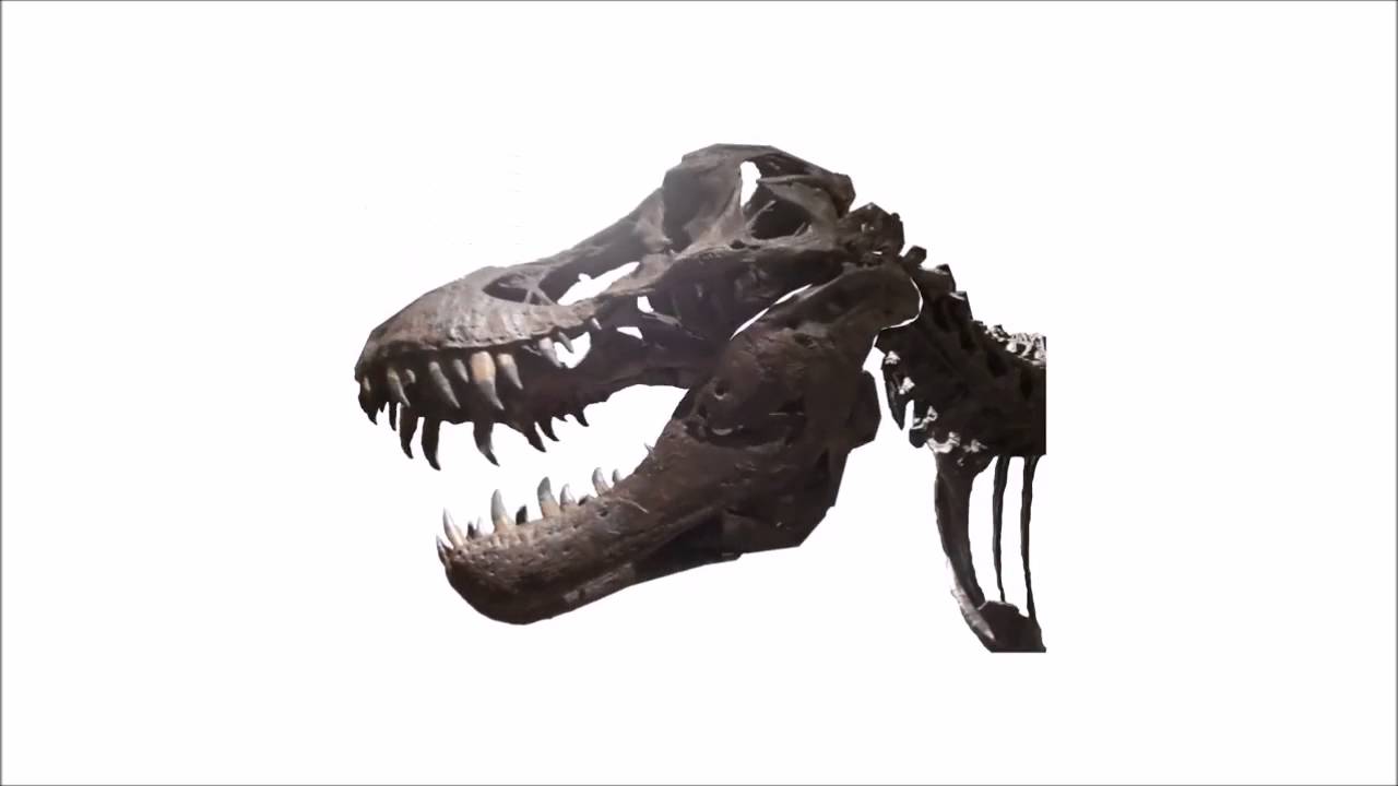 Spooky Scary Dinosaurs (With a twist) - YouTube