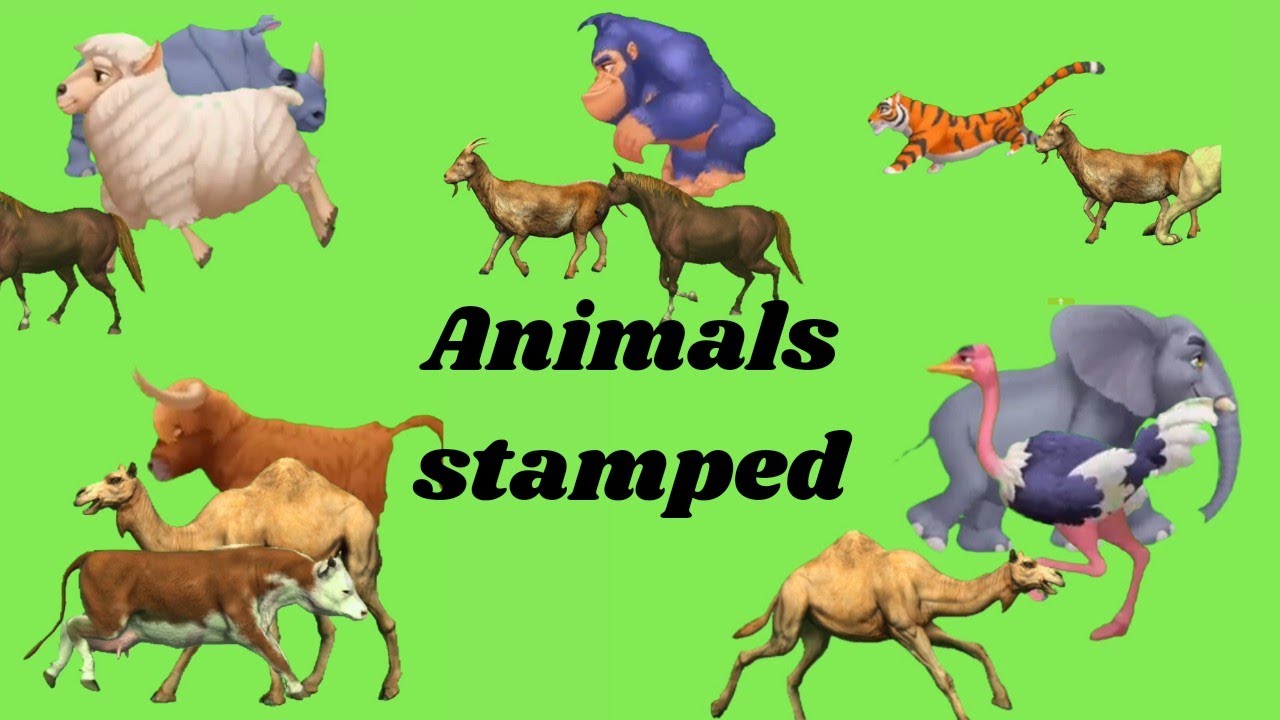 3d,2d, cartoon animals stamped green screen #chroma key #stampede # ...