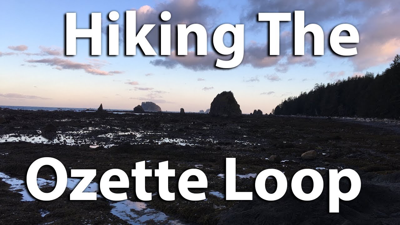 Cape Alava, Sand Point, Ozette Loop Hike - YouTube