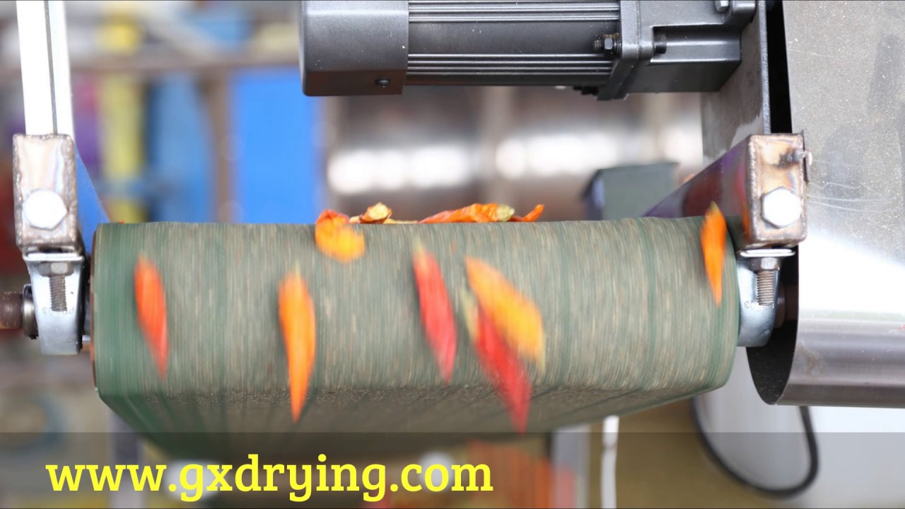 chili dryer,how to dry chili,chili drying machine - YouTube