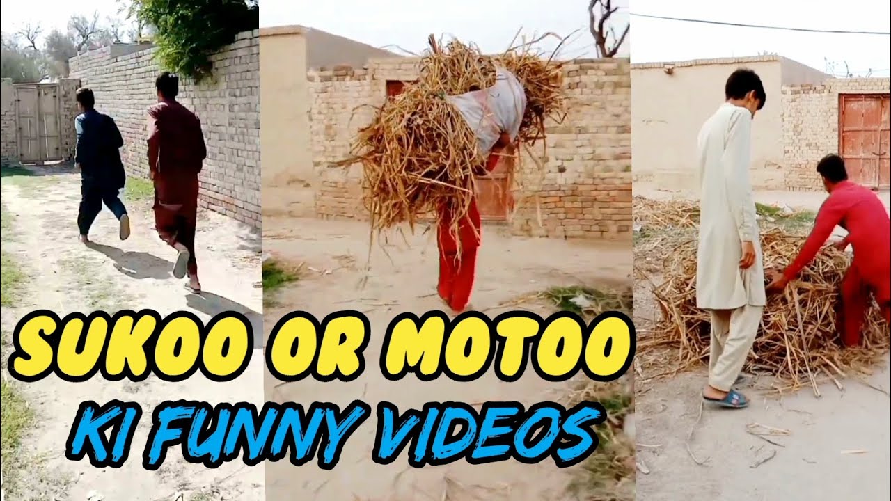 Sukoo or Motoo ki funny videos Wait for end 😂😂😂😂😂😂😂😂 - YouTube