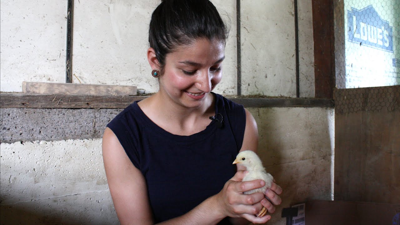 Internship Stories: Michaela Shaw '16 at Rodale Institute - YouTube