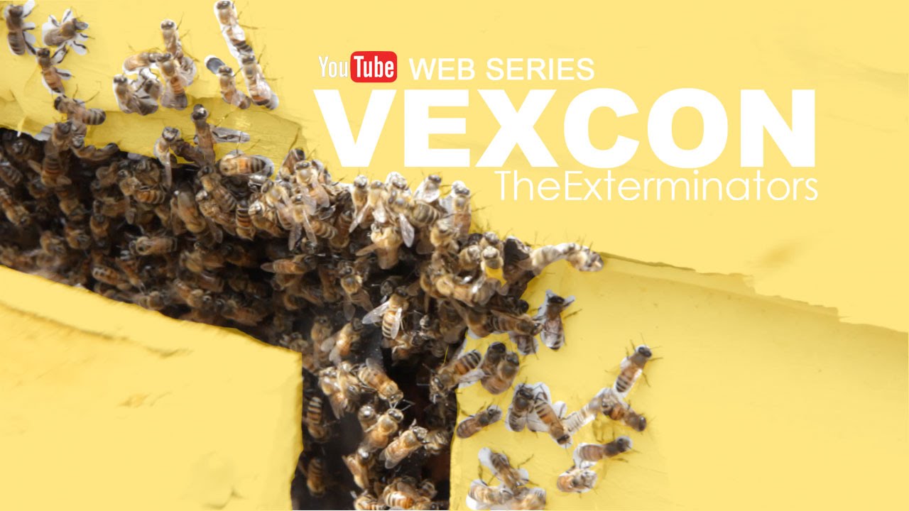 Vexcon The Exterminators - Web Series (Episode 7: Bees Attack) - YouTube