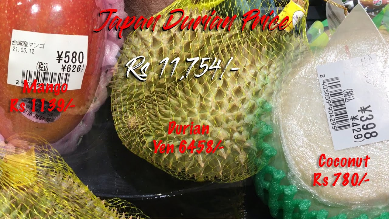 Durian ### Japan Durian Amazing Price - YouTube