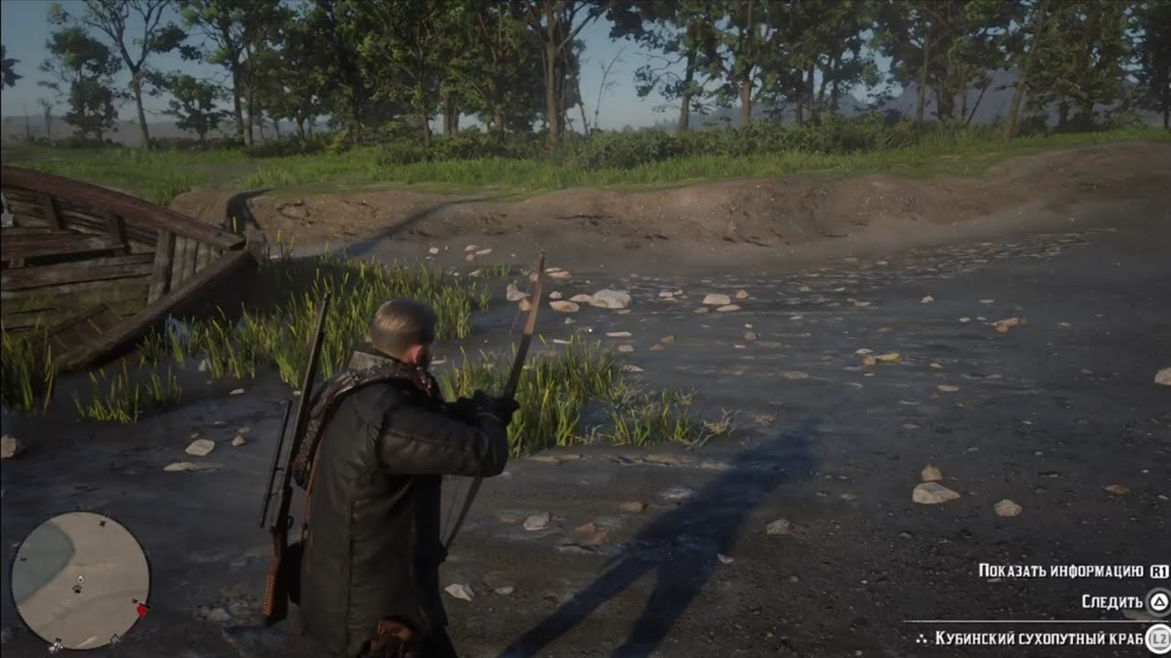 Кубинский сухопутный краб (cuban land crab) Red Dead Redemption 2 - YouTube