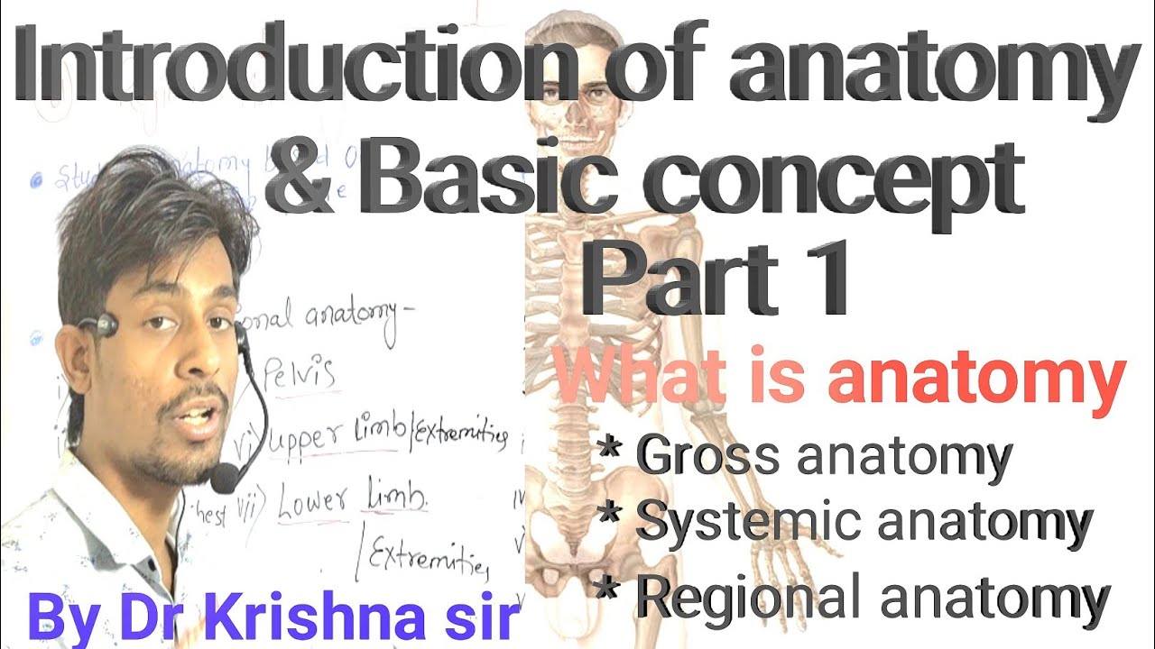 Introduction of Anatomy Part 1 | Basic anatomy | What is anatomy ...