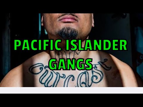 Pacific Islander gangs - YouTube