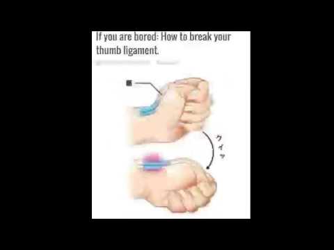 Ultra dank meme - YouTube