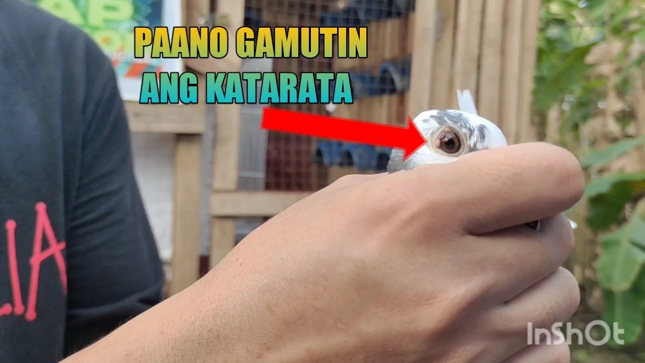 GINAMOT KO IBON KO NA MAY KATARATA SA MATA / GAMOT REVEAL - YouTube