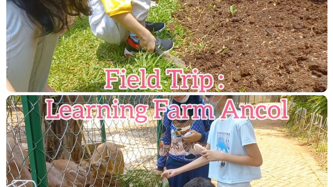 Field Trip 📍Learning Farm Ancol - YouTube