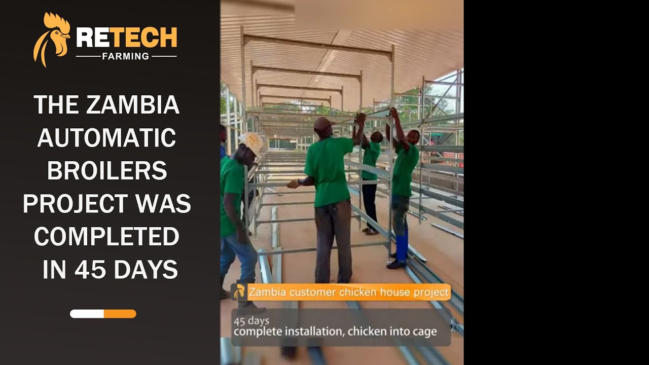 The Zambia Automatic Broilers project was completed in 45 days - RETECH ...