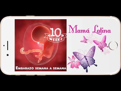 SEMANA 10 DE EMBARAZO | 10 WEEKS PREGNANT | 3 MESES DE EMBARAZO ...