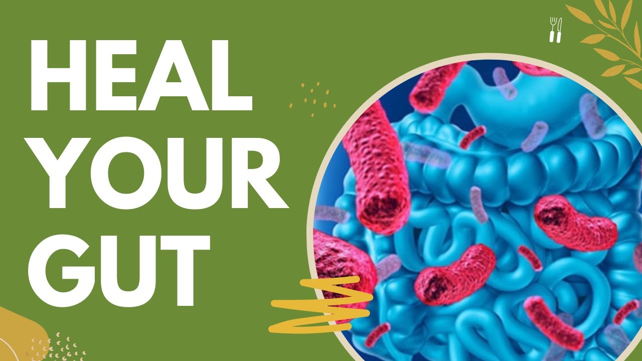 How to Fix Your Gut Health - (In Plain English!) - YouTube