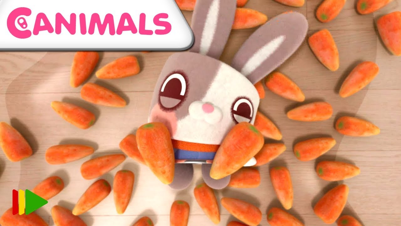 Canimals (Latino) | Episodio 3 y 4 | Dibujos para niños | 11 minutos ...
