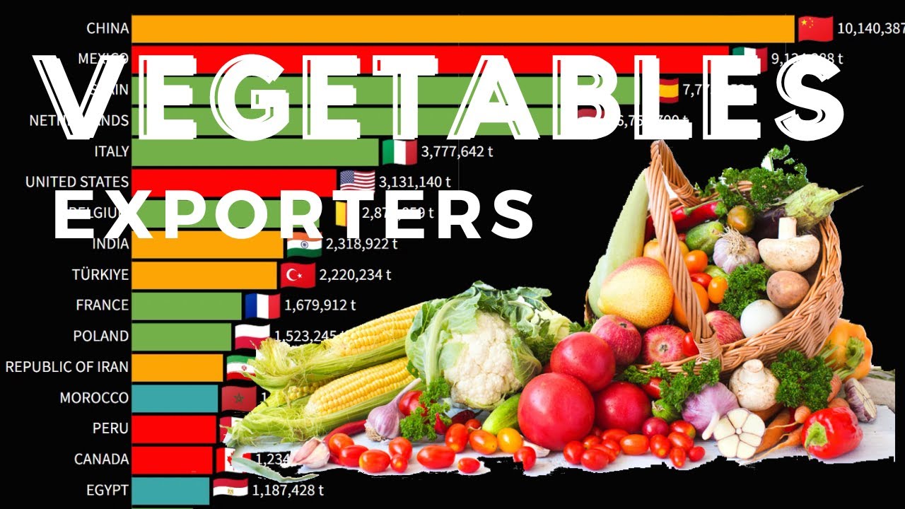 The Largest VEGETABLES Exporters In The World - YouTube