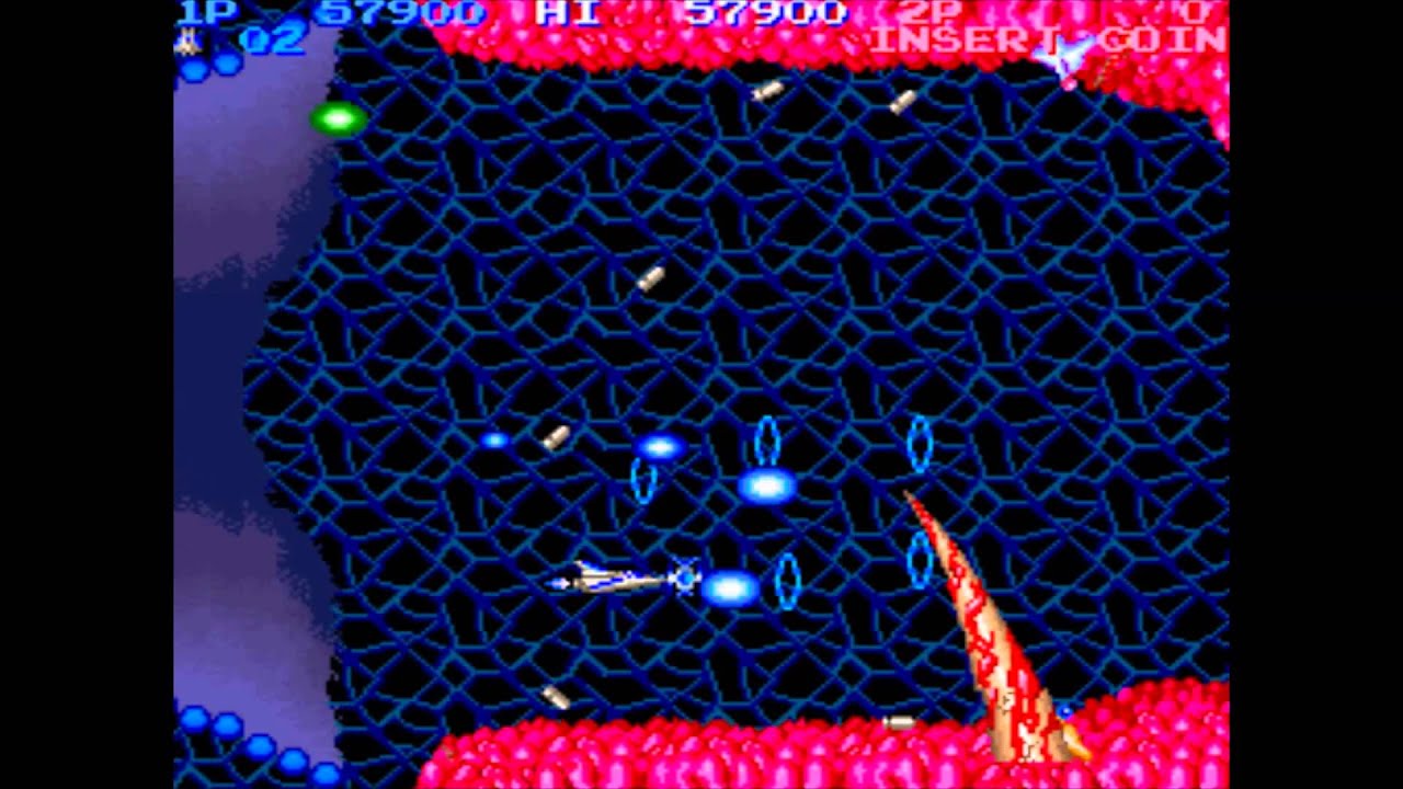 Salamander Mame Test - YouTube