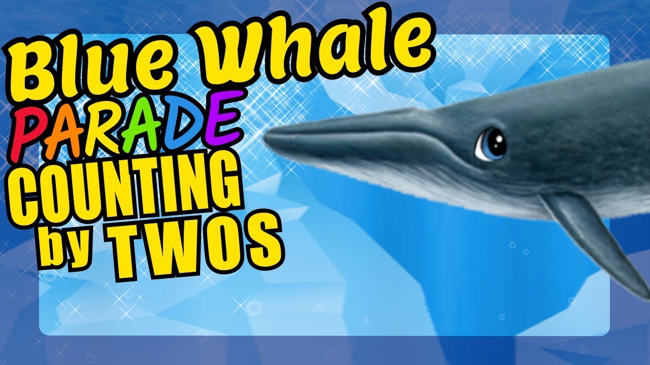 Blue Whale Teaching Counting by Twos Educational Math Video for Kids ...
