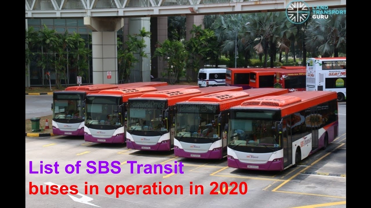 List of SBS Transit buses in operation in 2020 - YouTube